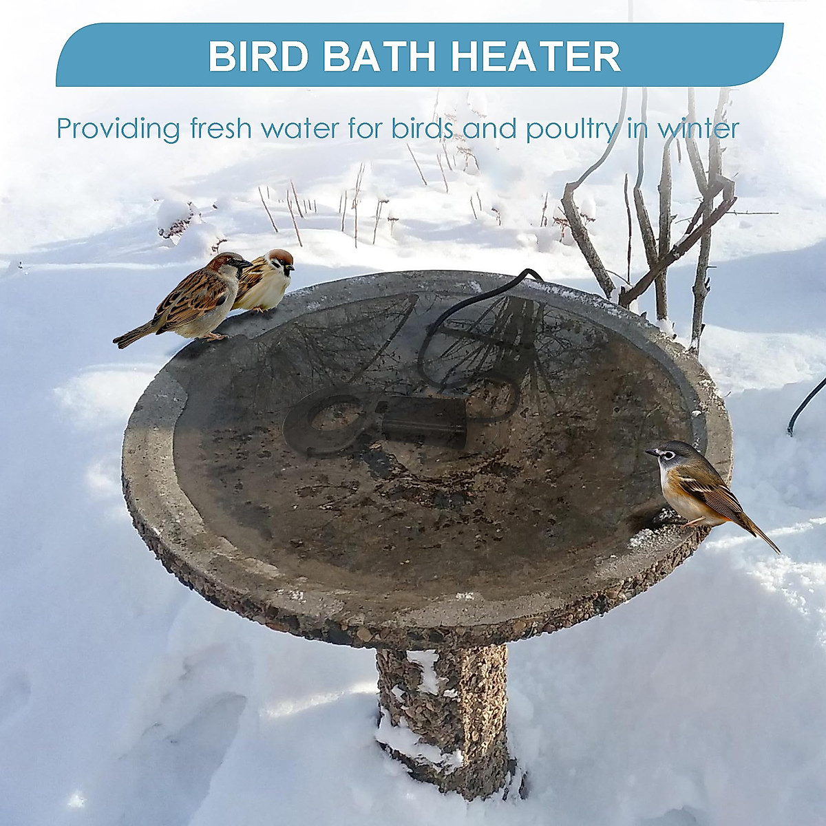 Tiflev 250W Utility De-Icer Submergible Cast Aluminum Chicken Water Heater for Livestock Tank Heater Winter Bird Bath Heater with 9.8FT Power Cord