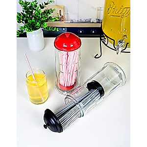 Straw Dispenser with Stainless Steel Lid | Glass Straw Holder for Counter with Lid | Drinking Straw Dispensers | Straw Container | Holds Straws up to 8.5 Inches, Black