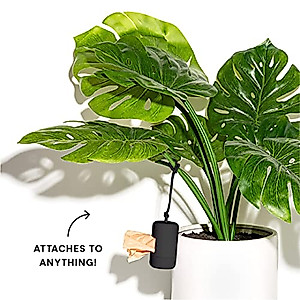 Wild One Poop Bag Holder and Dispenser for Dogs with Leash Attachment, Leak Proof, Easy Twist Top for Refills, Includes 1 Roll, Black