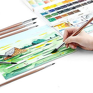 Transon Round Watercolor Detail Paint Brushes Goat Hair 8pcs for Watercolors,Acrylics,Inks,Gouache,Oil and Tempera