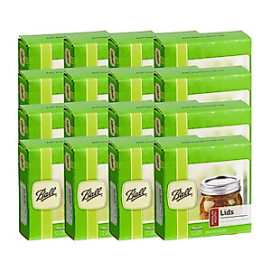 Ball Regular Mouth Lids for Glass Mason Jars, Used for Canning, Pickling, Juice, Jam, Jelly 12-Count, Pack of 16 (192-Lids Total)
