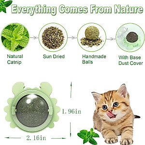 SUGVUHO 3 Pack Catnip Ball Cat Toy Cat Nips Organic Ball Catnip Wall Balls for Cats Cat Licking Ball Cat Teeth Cleaning Toy Cat Mint Silvervine Cat Toy Catnip and Silvervine for Cats