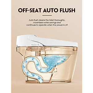 LDian Tankless Smart Toilet With Bidet Built In,Heated Toilet Seat One-piece Bidet Toilet Seat, Auto Flush, Auto Open & Auto Close, Warm Water and Dryer, Wireless Remote Control