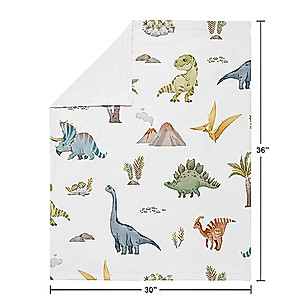 Sweet Jojo Designs Watercolor Dinosaur Dino Boy Soft Baby Blanket Receiving Security Stroller Swaddle Toddler Newborn Infant Kids Travel Warm Minky Green Slate Blue White Modern Jurassic Animal Steel