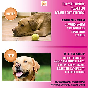 Best Natural Health Supplements for Dogs, Various Formulas & Benefits - Vet Recommended, 170 Natural Soft Chews - Smoky Bacon Flavor, Made in The USA (Hemp Calming)