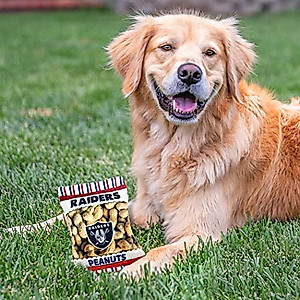 Pets First NFL LAS Vegas Raiders Crinkle FINE Plush Dog & CAT Squeak Toy - Cutest Stadium Peanuts Snack Plush Toy for Dogs & Cats with Inner Squeaker & Beautiful Baseball Team Name/Logo