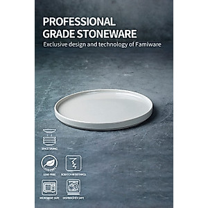 famiware Nebula 6 Pieces Dinner Plates, 10.2" Plates Set, Scratch Resistant, Stoneware Dinnerware, Kitchen Modern Rustic Dishes, Light Gray