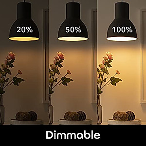 Geeni Prisma 800 2700K Dimmable A19, 60W Equivalent Color Changing RGBW LED Smart WiFi Light Bulb, Works with Alexa and Google Home, No Hub Required, Requires 2.4GHz WiFi  (2 Pack)