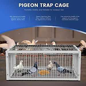 PAUQRWIE Pigeon Trap Cage Bird Traps for Small Birds Folding One-Way Entrance Trapping Portable U-Trap Door for Doves Breeding Supply Pigeon Coop