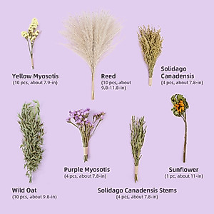 Niteangel Natural Flower & Herb Bedding Habitat Decor - for Hamsters Gerbils Mice Lemming Degus or Other Small Pets (Harvest Wind - Flower Version)