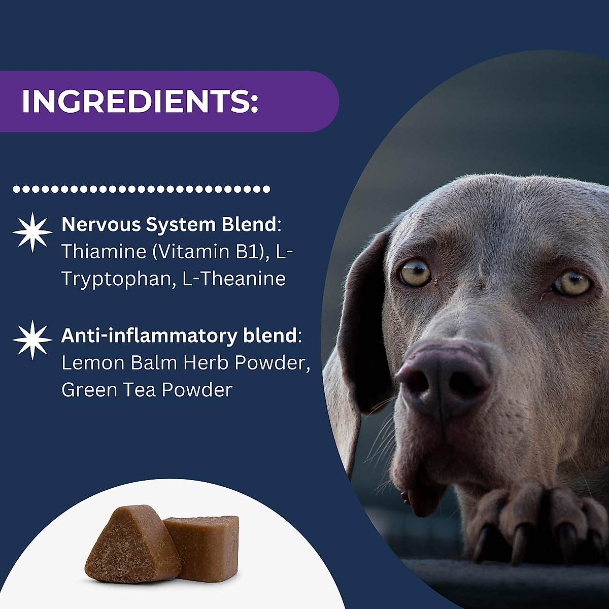 Dogletics Calm & Relax Soft Chew Supplements for Dogs - Reduce Stress & Anxiety, Behavioral Support, Promote Rest & Relaxation for Active Dogs