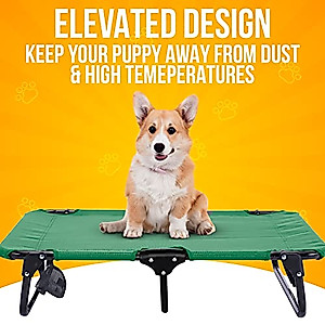 Elevated Dog Cot with Steel Frame - Foldable Raised Play and Rest Bed for Dogs and Cats - Heavy Duty Strong Material - Pet Cot with Bonus Storage Bag (Large 42” x 24” x 8”, Green)