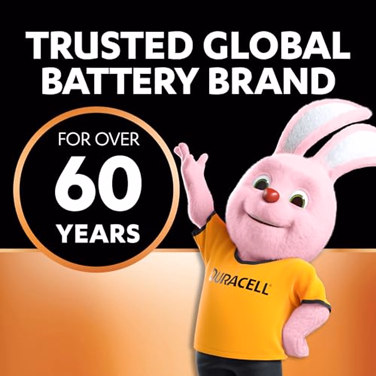 Duracell Alkaline D Batteries 2 Count