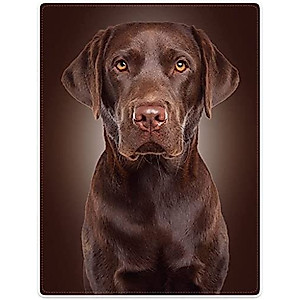 HommomH Chocolate Lab Blanket, Brown Labrador Dog Print, Soft Fluffy Fleece Throw, 50"x60"