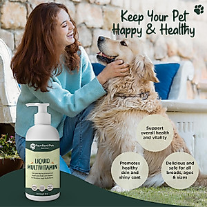 Pawfect Pet Nutrition Liquid Multivitamin Treats for Dogs - Glucosamine Chondroitin for Joint Support + Digestive Enzymes & Probiotics - Grain Free Vitamin for Skin & Coat + Immune Health (32 Oz.)