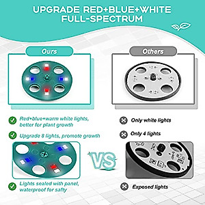 Seed Starter Tray Kit with Grow Light(2023 Upgrade 8 Full-Spectrum LED, Timer, Dimming, Higher Humidity Dome) 5 Pack Seedling Sprouting Trays Indoor Gardening Gifts Supplies Greenhouse Germination Kit