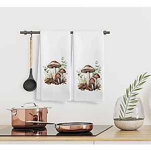 NOQL Mashroom Towel, Mushroom Kitchen Decor Kitchen Towels and Dishcloths Set of 2, Mushroom Hand Towel, Cute Mushroom Decor, Mushroom Home Decor, Mushroom Gifts for Women, 16×24 Inches