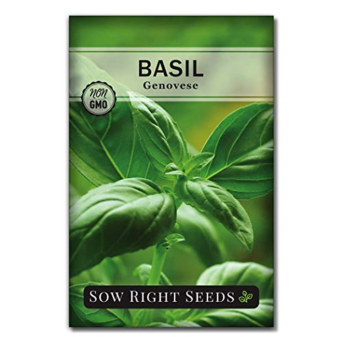 Sow Right Seeds - Herb Garden Seed Collection - Basil, Chives, Parsley, Cilantro, Oregano, Dill, Lavender, Marjoram, Sage & Thyme - Non GMO Heirloom - Instructions to Plant an Outdoor or Indoor Garden