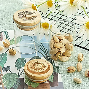 2 Packs Glass Storage Jar with Decorative Airtight Bamboo Lid Multi Use Container Glass Jar Set Kitchen Canisters Food Cereal Storage for Candy Cookie Coffee Tea, 1/8 oz