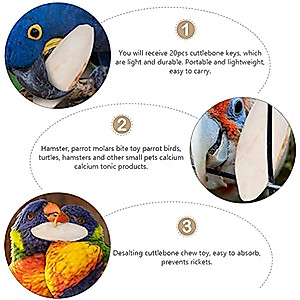 ULTNICE Natural Bird Cuttlebone Pet Chewing Cuttlefish Bone Birds Calcium Bone for Reptiles Tortoises Snails Small Animals ( 20pcs )