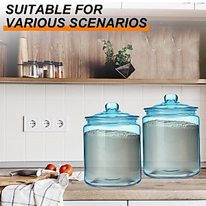 Tioncy 2 Pcs 1 Gallon Cookie Jar Glass Jars Apothecary Storage Glass Containers with Lids Large Clear Airtight Glass Canisters with Labels for Kitchen Laundry for Cookie Candy Sugar Flour (Blue)