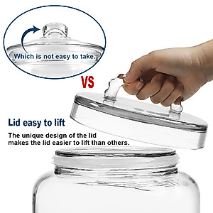 Daitouge 3 Gallon Glass Jar with Lid, 1 Pack Wide Mouth Large Glass Jar with lid, Super Large Cookie Jar for Food Storage, Sugar, Flour, Cookies,Dog Treats