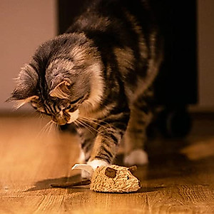 Gigwi Cat Toys for Indoor Cats, Interactive Cat Toys for Cat Exercise, Automatic Moving Kitten Toys with Real Mouse Sound