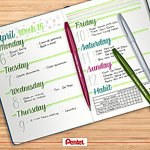 Pentel Brush Sign Pen - Fresh Shades 12pc Wallet