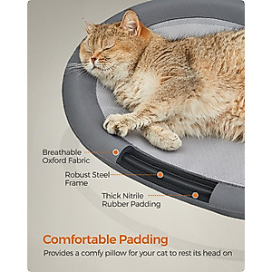 Feandrea Pet Bed, Cat Hammock, Elevated Cat Bed for Multiple Cats, with Removable Washable Mesh, for Pets up to 20 lb, Oval, Gray UPCB001G01