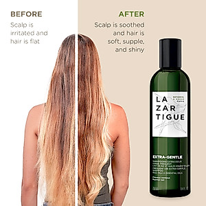 Lazartigue Extra Gentle Hair Shampoo, Prevents Irritations & Dandruff, Enhances Strength & Shine, Vegan, Sulfate and Silicone Free, 8.4 fl.oz.