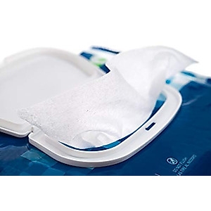 StayDry Adult Wipe or Washcloth 7.5 x 12.5" WPW100, 1 Pack 100 Wipes