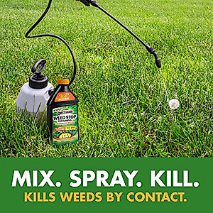 Spectracide Weed Stop For Lawns Plus Crabgrass Killer Concentrate, Weed Killer, 32 Ounces