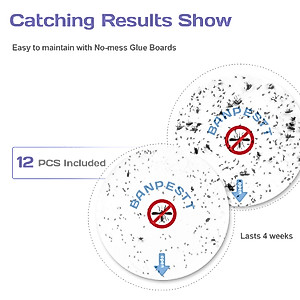 (12-Pack) Fruit Fly Trap Sticky Refillable Glue Boards, 4.13" Fits Most Models Indoor Insect Trap,Gnat Killer,Bug Catcher