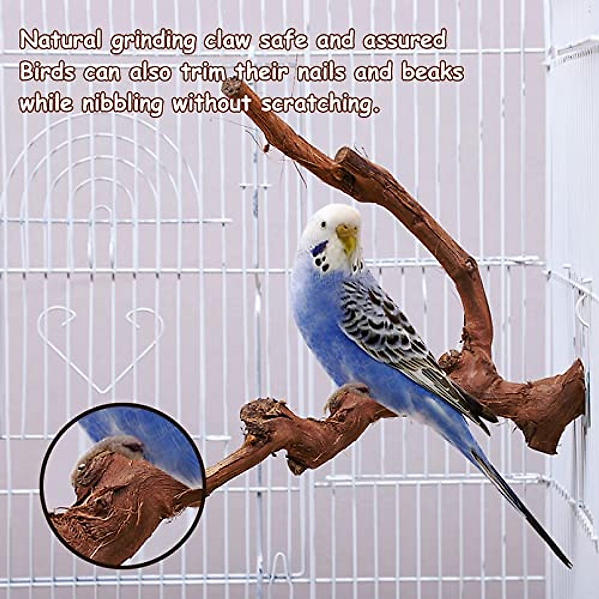 kathson Parrot Perch Stand Bird Cagestand Pole Natural Wild Grape Stick Grinding Paw Cage Accessories for Parakeet Cockatiels Budgies Conure Lovebirds Platform