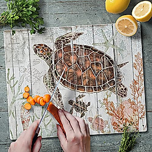 CounterArt Shoreline Shells Sea Turtle 3mm Heat Tolerant Tempered Glass Cutting Board 15” x 12” Manufactured in the USA Dishwasher Safe