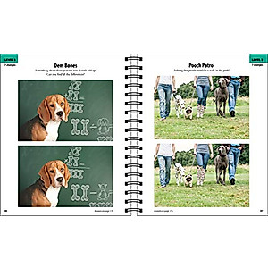 Brain Games - Picture Puzzles: Goes to the Dogs