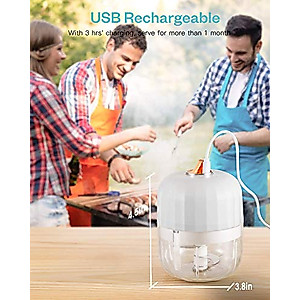 Electric Mini Garlic Chopper, Olrid Mini Chopper Food Processor, Garlic Mincer, for Chop Onion Ginger Vegetable Pepper Spice Meat, Baby Food (250ml)