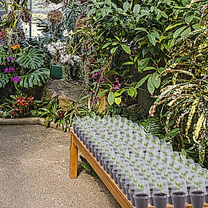 winemana 36 Set Nursery Pots with Humidity Dome, Clear Nursery Pots for Plants, Seed Starting Pots with Drainage Holes & Plant Labels for Vegetables Flowers Garden Plants