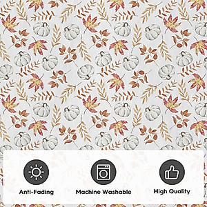 Artoid Mode Orange Pumpkins Maple Leaves Fall Area Rug, Autumn Thanksgiving Home Decor Low-Profile Washable Area Rugs for Entryway Bedroom Living Room Laundry Room Indoor 5x7 Feet