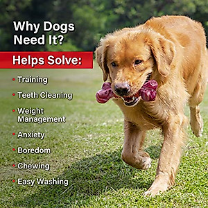 Apasiri Tough Dog Toys for Aggressive Chewers Large Breed, Dog Chew Toys, Durable Dog Toys, Dog Bones Made with Nylon and Rubber, Big Indestructible Dog Toy, Medium Puppy Chew Toys Teething chew Toys