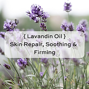 Hygiene Hero Exfoliating Cranberry & Daily Ritual Oatmeal Private Bar Soap 3.25 oz / 92 g - Face & Body Wash for Dark Spots, Intimate Areas, Underarms - Set of 2