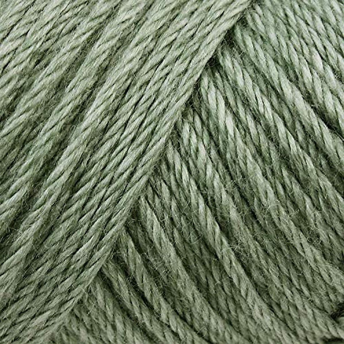 Caron Bulk Buy Simply Soft Heather Yarn (3-Pack) Woodland H9700H-9503
