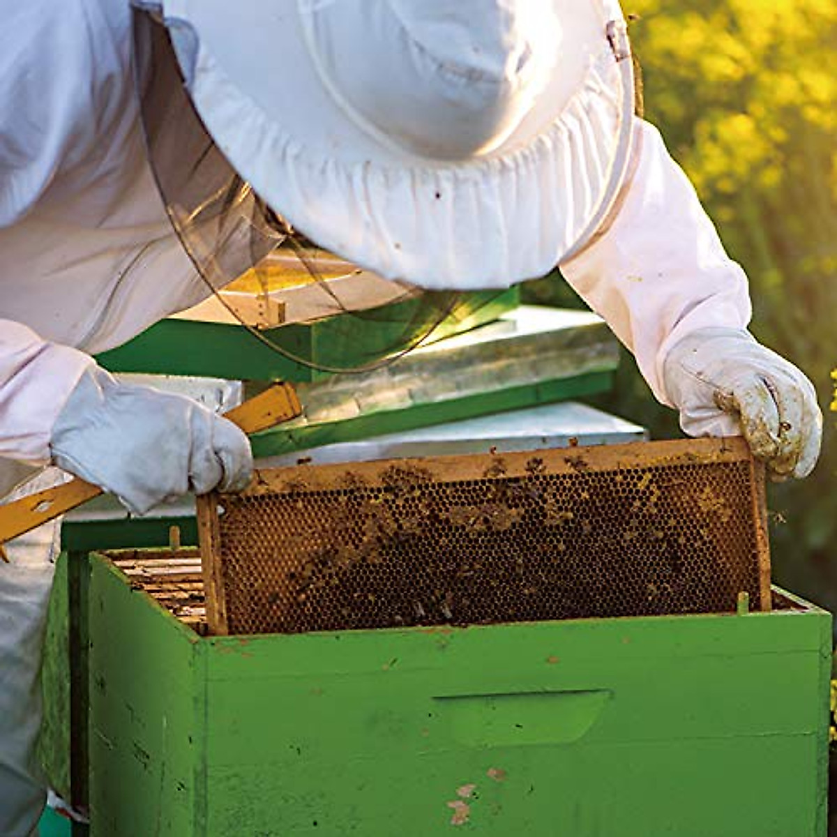 2 Pairs Beekeeping Gloves- Thick Goatskin Leather Beekeeper's Gloves with Ventilated Canvas Long Sleeves Elastic Cuffs Vented Beekeeper Protected Gloves for Beekeepers Hand Protection