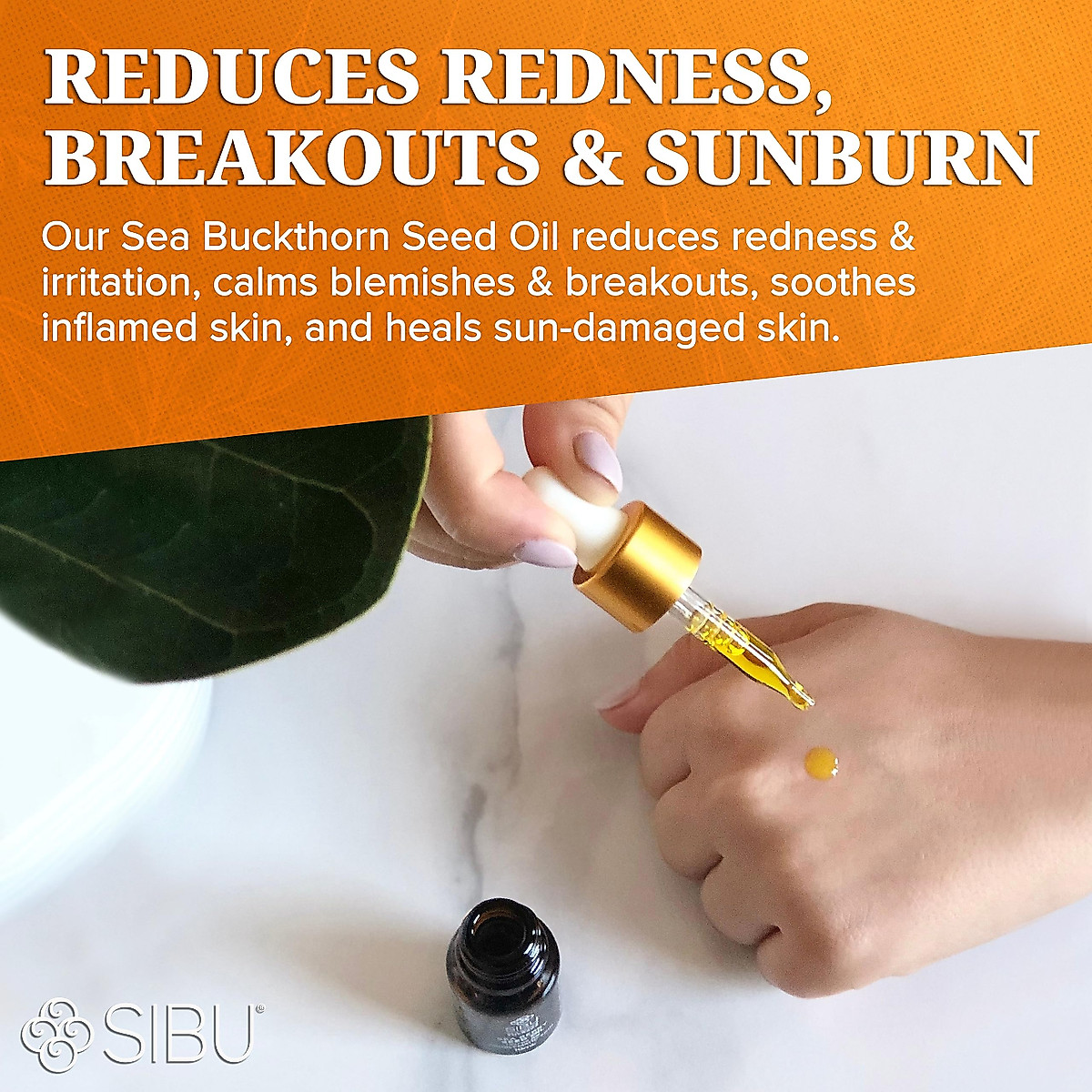 Sibu Premium Himalayan Sea Buckthorn Seed Oil, USDA Organic (10ml) – Amazing for Sensitive Skin, Breakouts, & Irritation