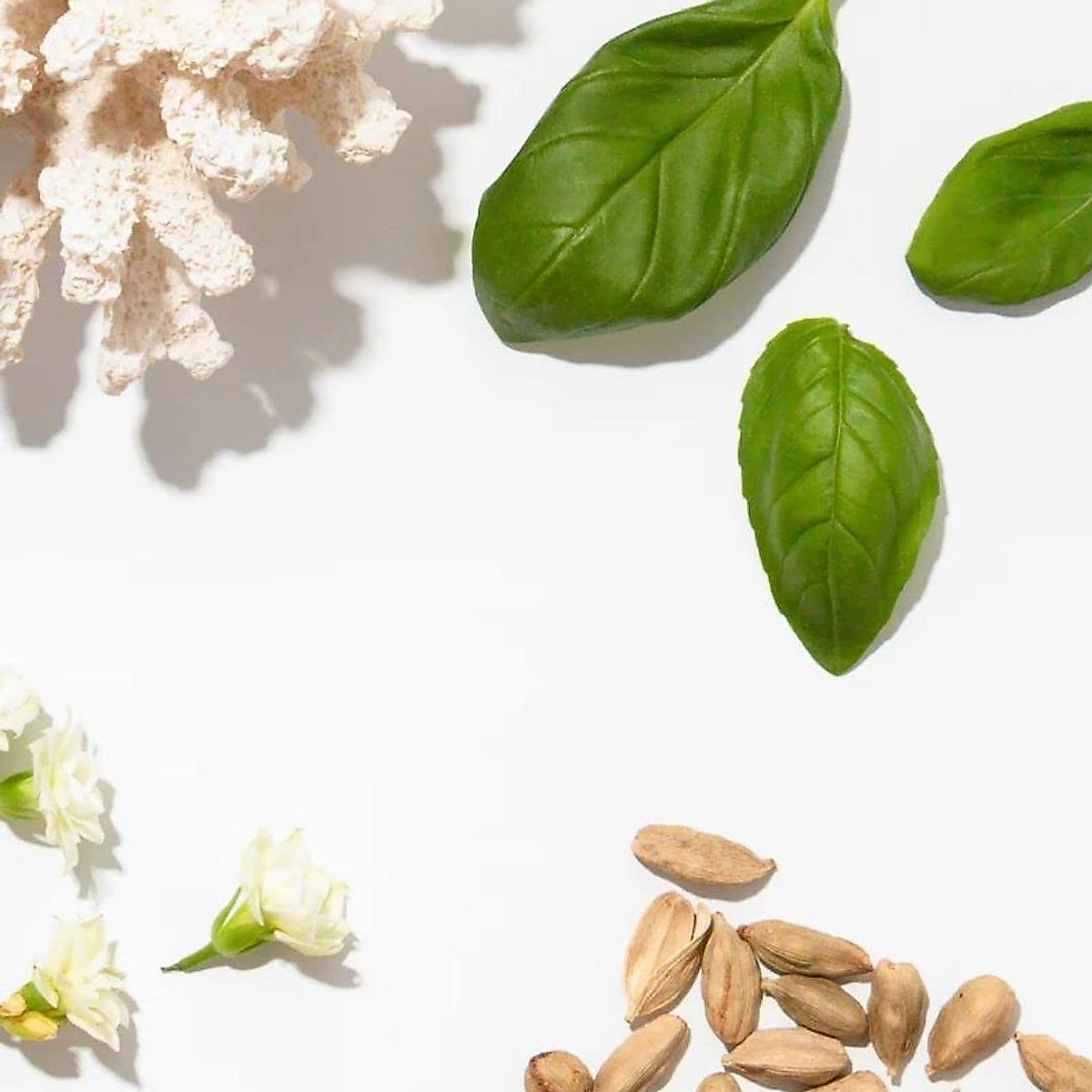 Soap & Paper Factory Pura Smart Home Diffuser Refill - Coral, .33 fl oz