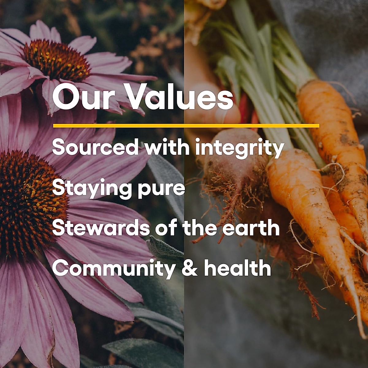 Natural Factors N-Acetyl-L-Cysteine 500 mg, Superior Antioxidant Support for Respiratory & Immune Systems, 90 Capsules