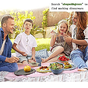 shopwithgreen 10 Inch Wheat Straw Dinner Plates, Unbreakable Sturdy Plastic Dinner Plates, Microwave and Dishwasher Safe