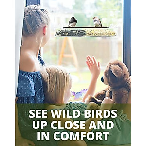 Nature's Envoy Window Bird Feeder – Clear View for Birdwatching - Strong Suction Cups for Outside - Slide Out Seed Tray w/Drain Holes for Easy Refill & Clean - Acrylic Outdoor Feeder for Wild Birds