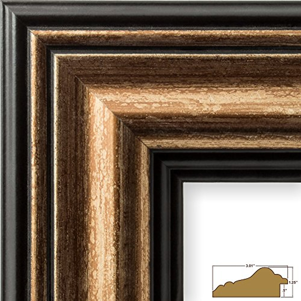 Craig Frames 21307201 16 x 20 Inch Aged Copper and Black Picture Frame Matted to Display a 11 x 14 Inch Photo