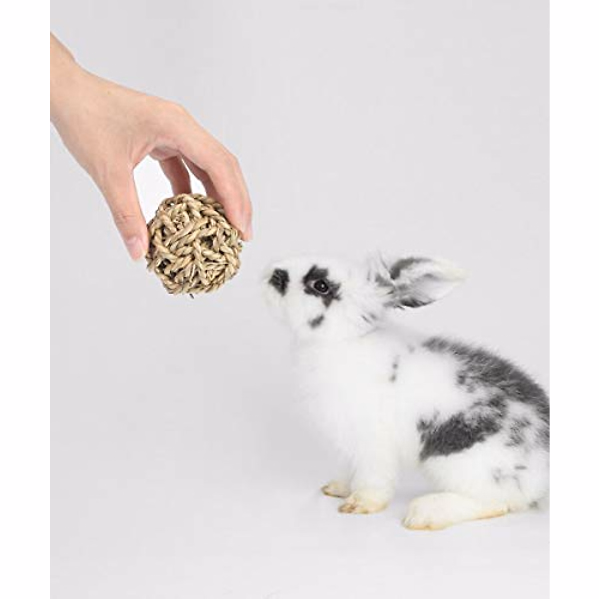 Fansisco Bunny Chew Toys for Teeth Grinding,Molar Rabbit Toys Organic Apple Chewing Sticks,Chew Treats and Balls for Hamster,Rabbit, Bunny, Chinchilla, Guinea Pig, Small Animal